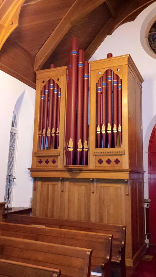 OrganCase | Buch Organs
